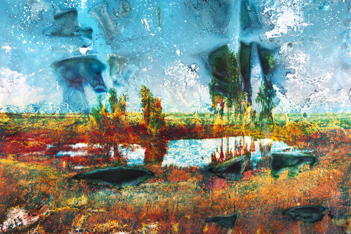 matthew-brandt-art-05-edc-1112-xln - Argument